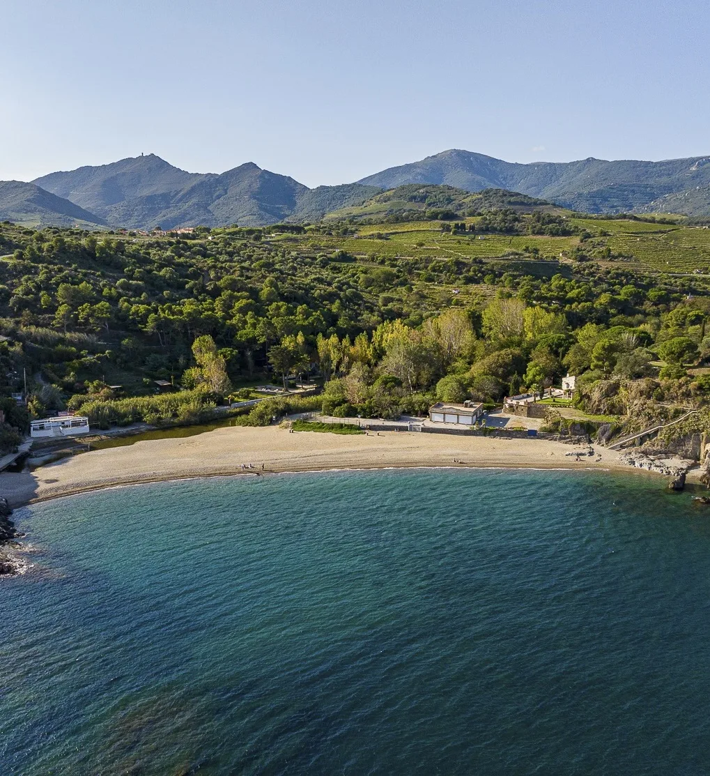 Coves and beaches - Collioure Tourism